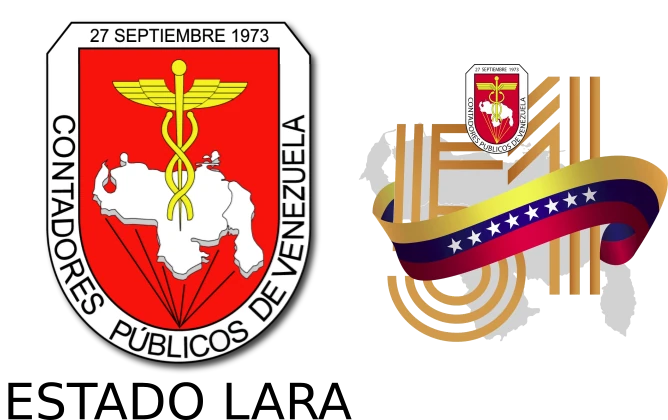 Boletín de Aplicación BA VEN-NIF 8 Versión 9 «Principios de ...